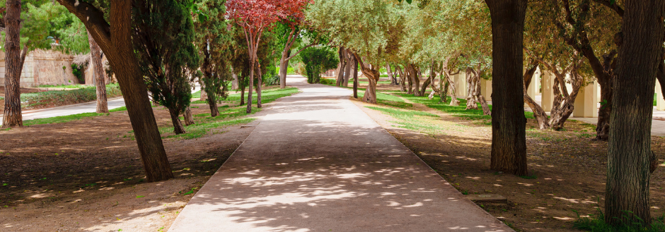 מרכז הידע אגמא